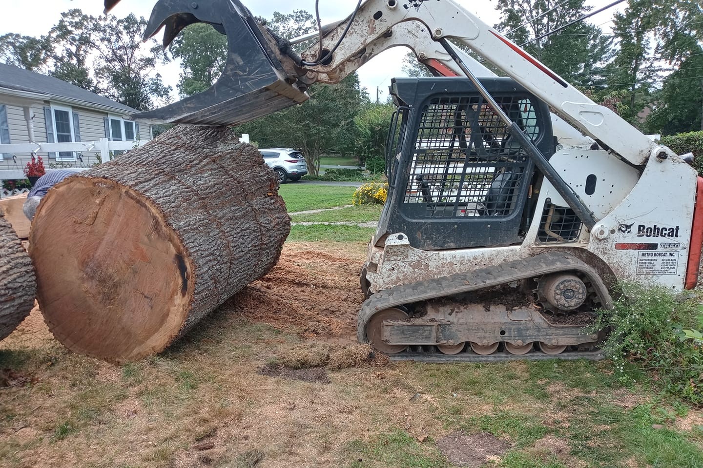 Tree Removals - Burke Tree Services (Call Now)